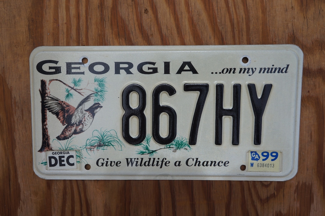 2003 Georgia Give Wildlife A Chance Bird Graphic License Plate - Etsy