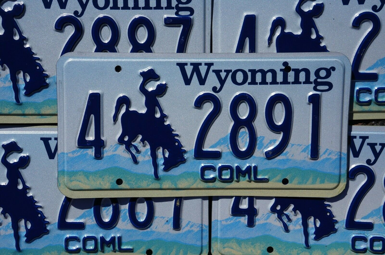 ONE or MORE Embossed WYOMING Rodeo Cowboy Horse License Plate Plates ...