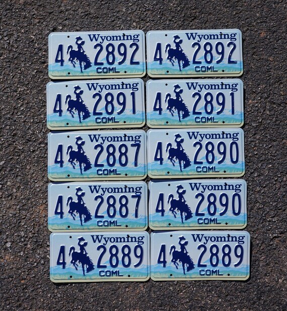 WYOMING LICENSE PLATE Lot of 10 High Quality Bulk License Plates Sale