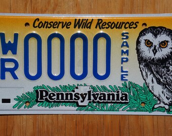 Owl License Plate - Etsy