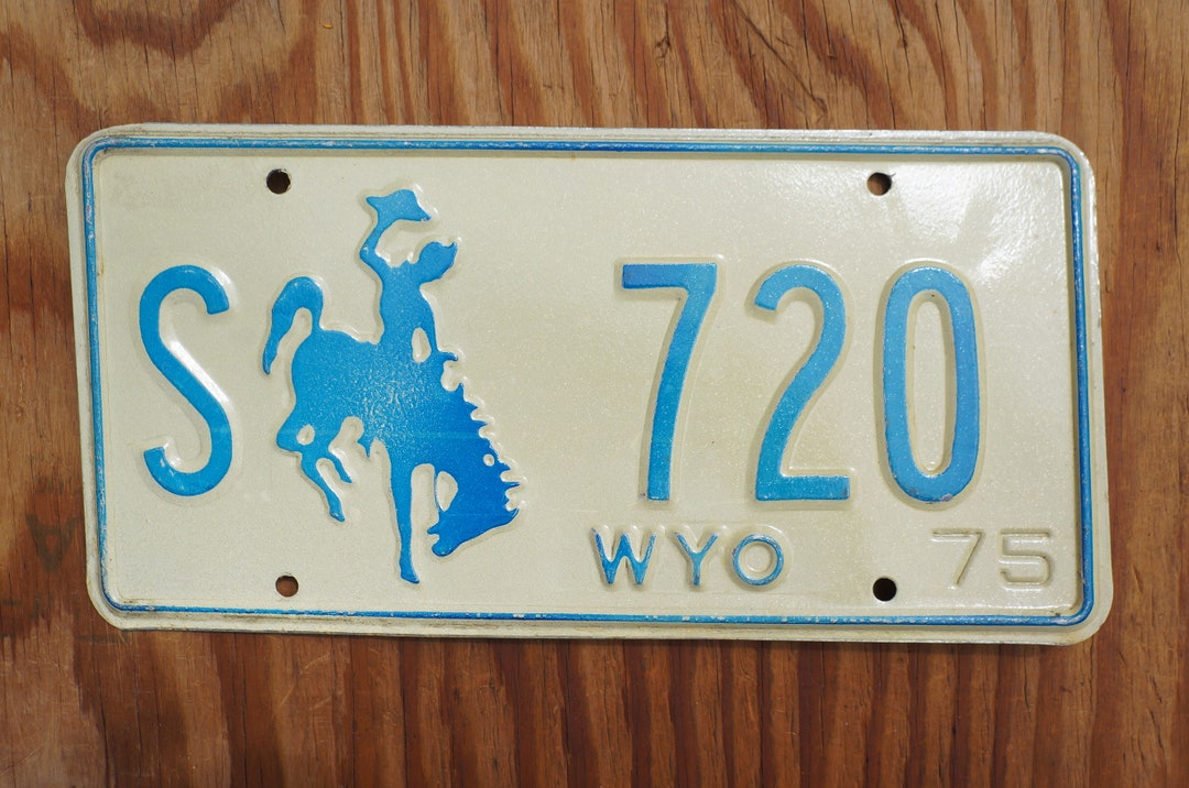 1975 Wyoming STATE OWNED VEHICLE Blue Rodeo Cowboy Horse License Plate ...