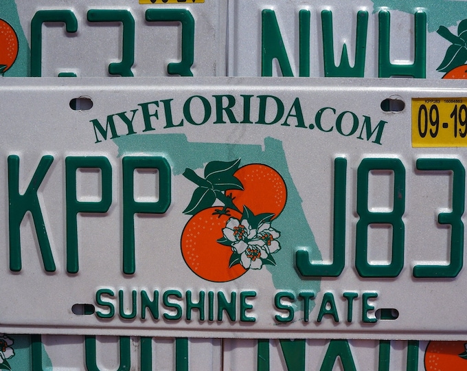 One or More - FLORIDA ORANGE License Plate - Sunshine State - Etsy