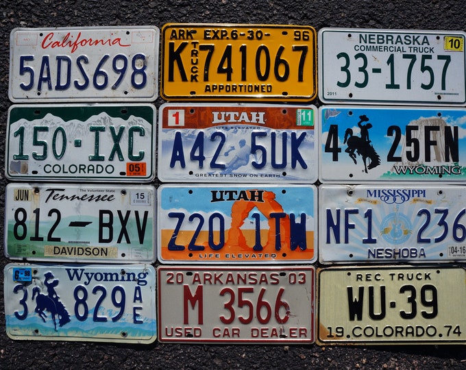 LOT of 12 License Plates 8 Different States USA Plate Tag Craft ...