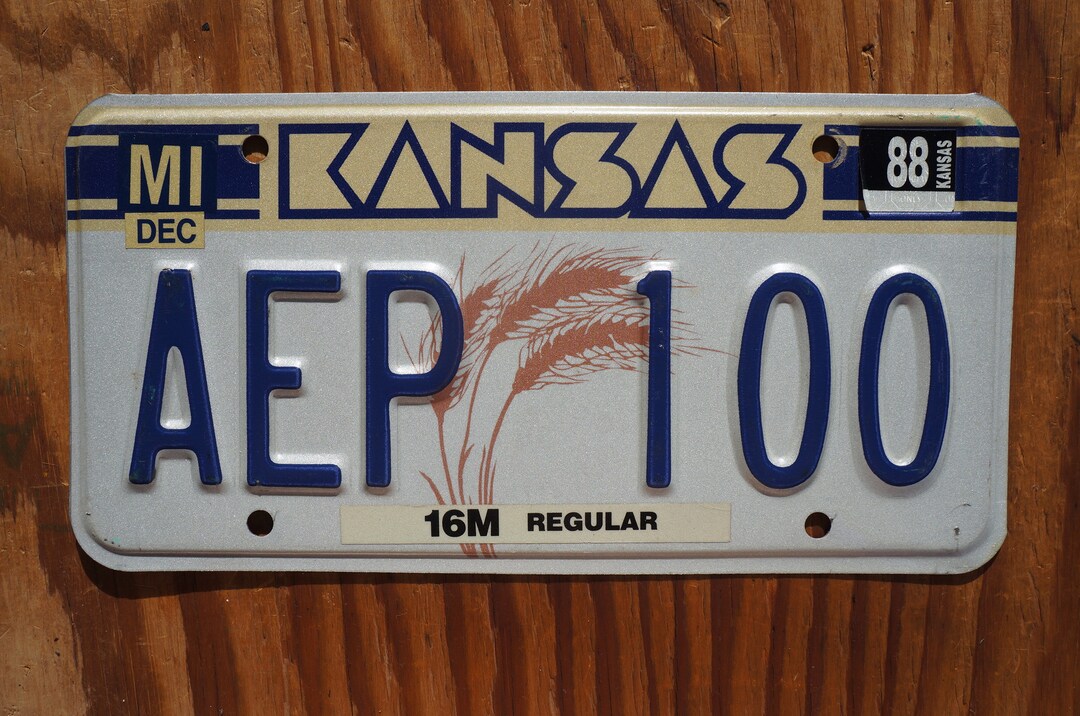 1989 Kansas Vintage Yellow WHEAT Graphic License Plate AEP 100 - Etsy