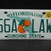 2017 Georgia PEACH STATE License Plate - RAT 1006 - Etsy