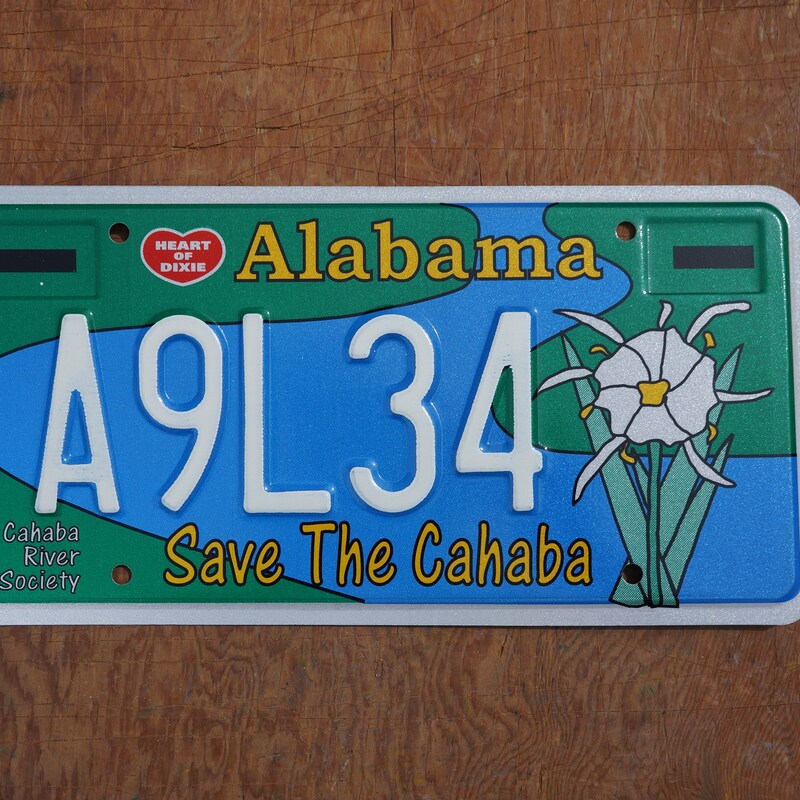 Kids License Plate - Etsy