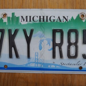 Michigan the Mackinac Bridge Graphic License Plate SPECTACULAR ...