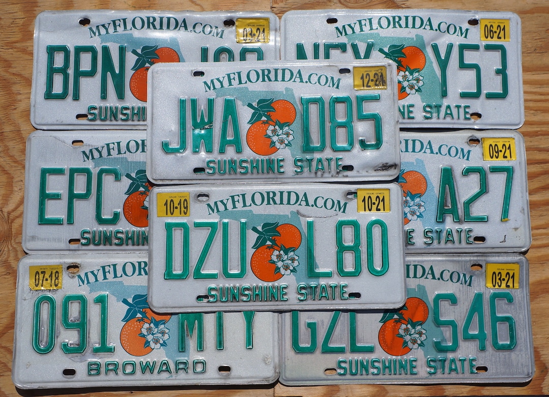 One or More CRAFT FLORIDA ORANGE License Plate Myflorida.com - Etsy