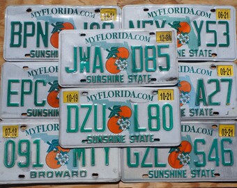 Florida Custom License Plate Custom Car Tag Tea Stained - Etsy