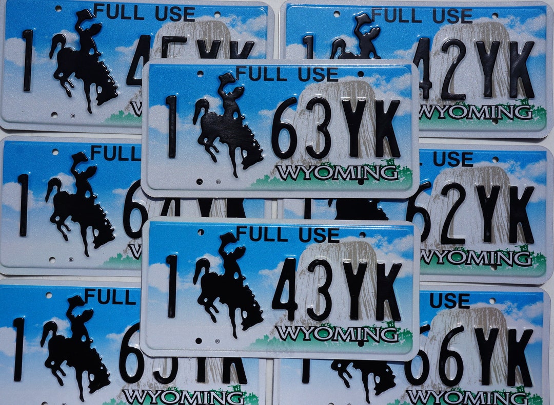 One or More Embossed WYOMING Cowboy & Horse Full Use DEALER License ...