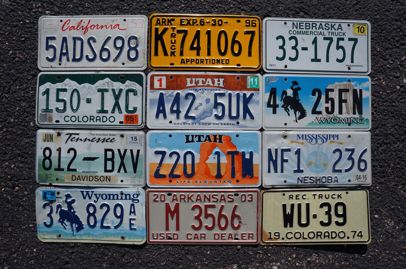 LOT of 12 License Plates 8 Different States USA Plate Tag | Etsy