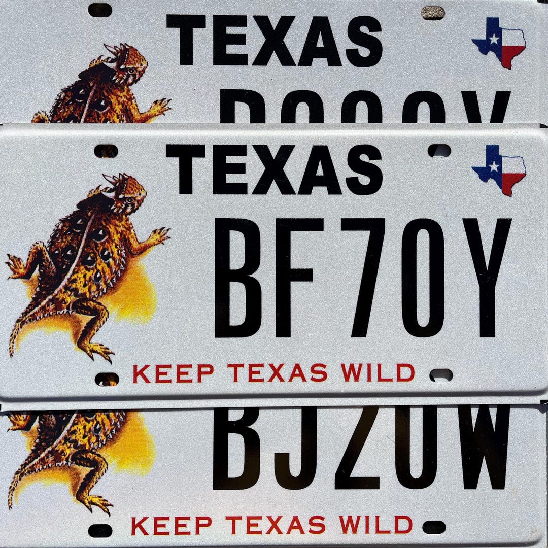Texas Horny Toad Graphic License Plate: Keep Texas Wild - Etsy
