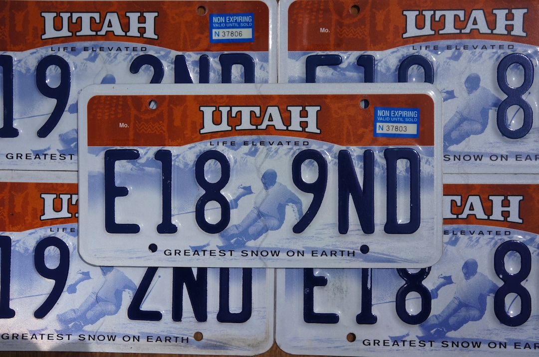 One or More - UTAH Greatest Snow on Earth SKIER Life Elevated License ...