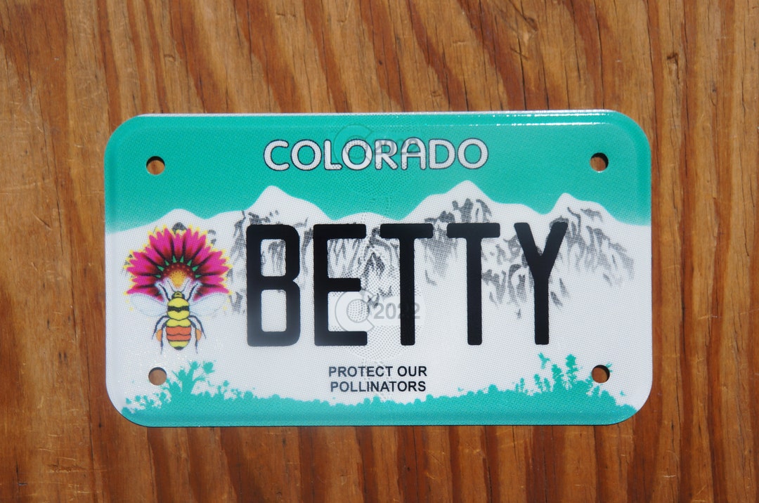 2022 Colorado BETTY MOTORCYCLE Protect Our POLLINATORS Bee Flower ...