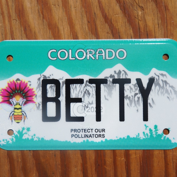 Colorado Motorcycle License Plate - Etsy