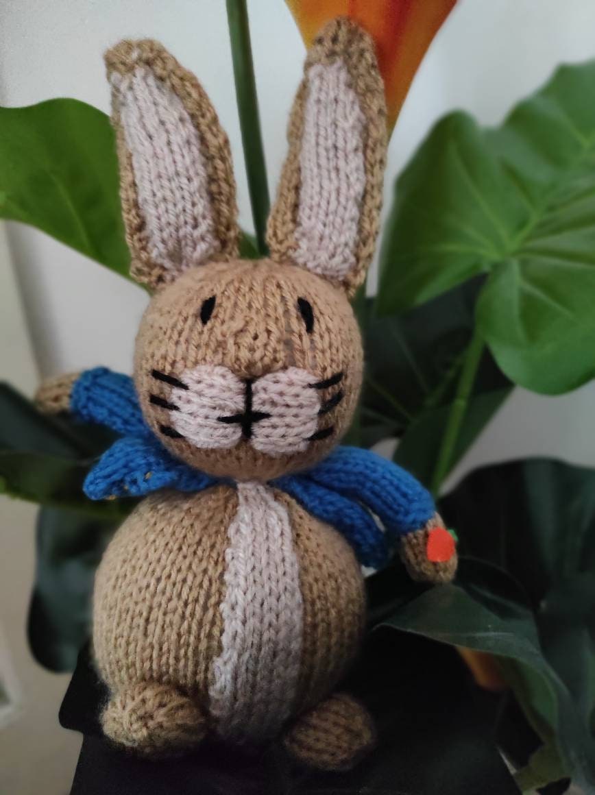 Peter Rabbit Crochet Peter Rabbit Rabbit Amigurumi - Etsy