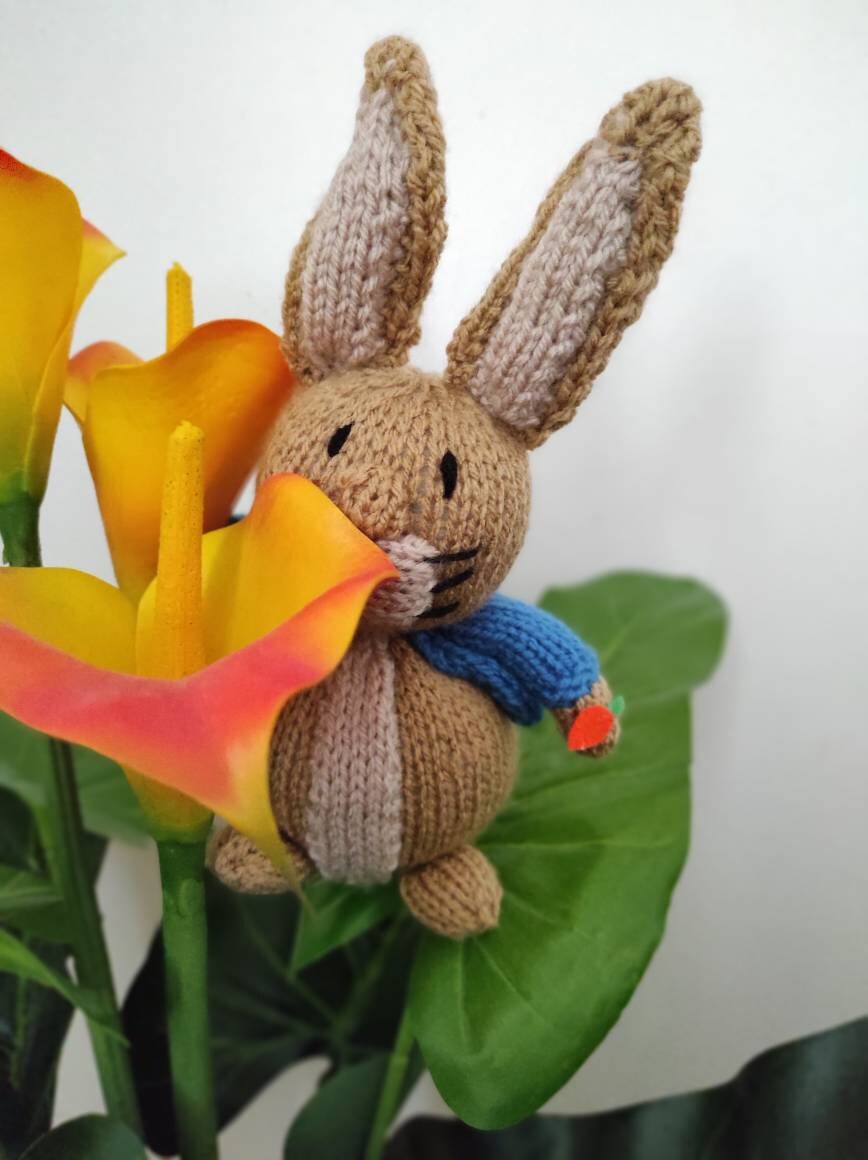 Peter Rabbit Crochet Peter Rabbit Rabbit Amigurumi - Etsy