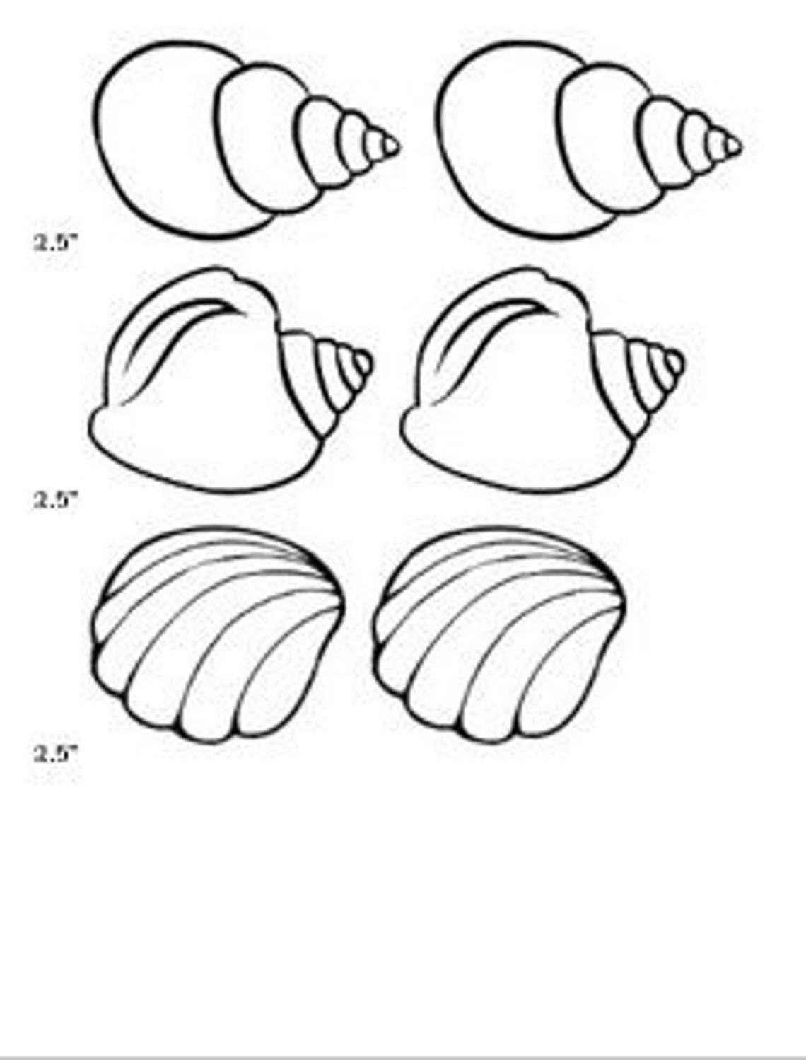 Seashell Royal Icing Transfer Sheet - Etsy