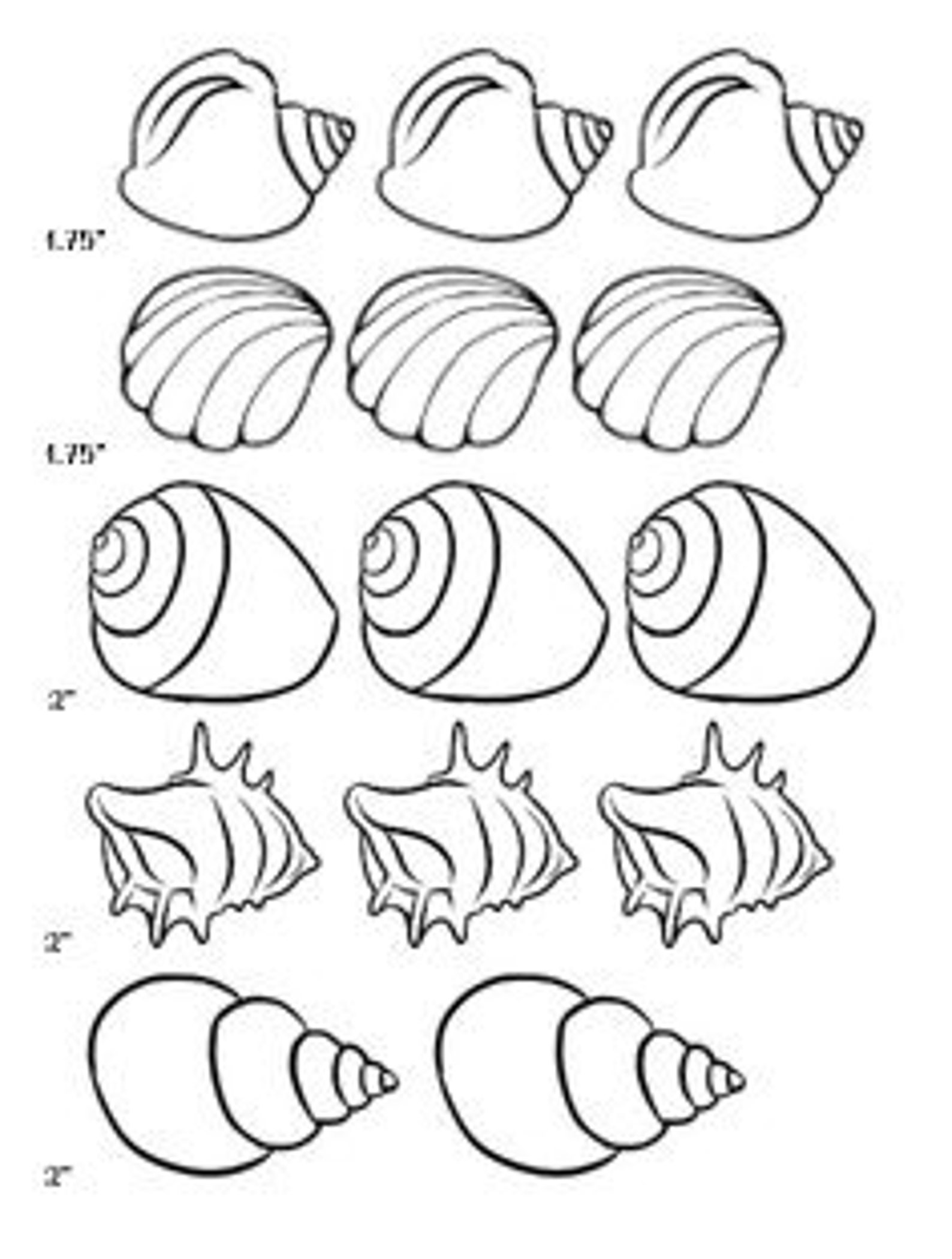 Seashell Royal Icing Transfer Sheet - Etsy