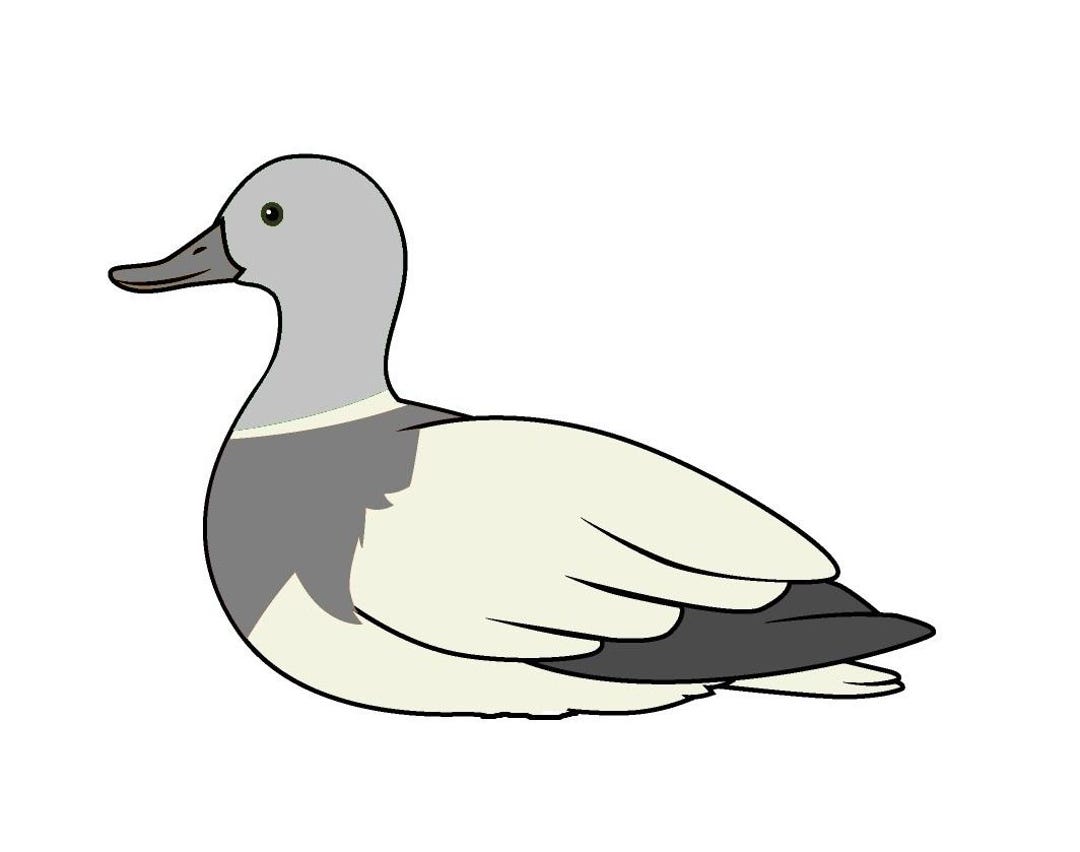 Duck Royal Icing Transfer Sheet - Etsy