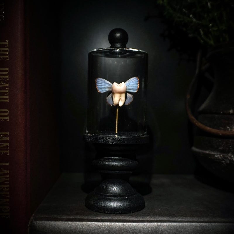 Human Tooth Fairies - Etsy
