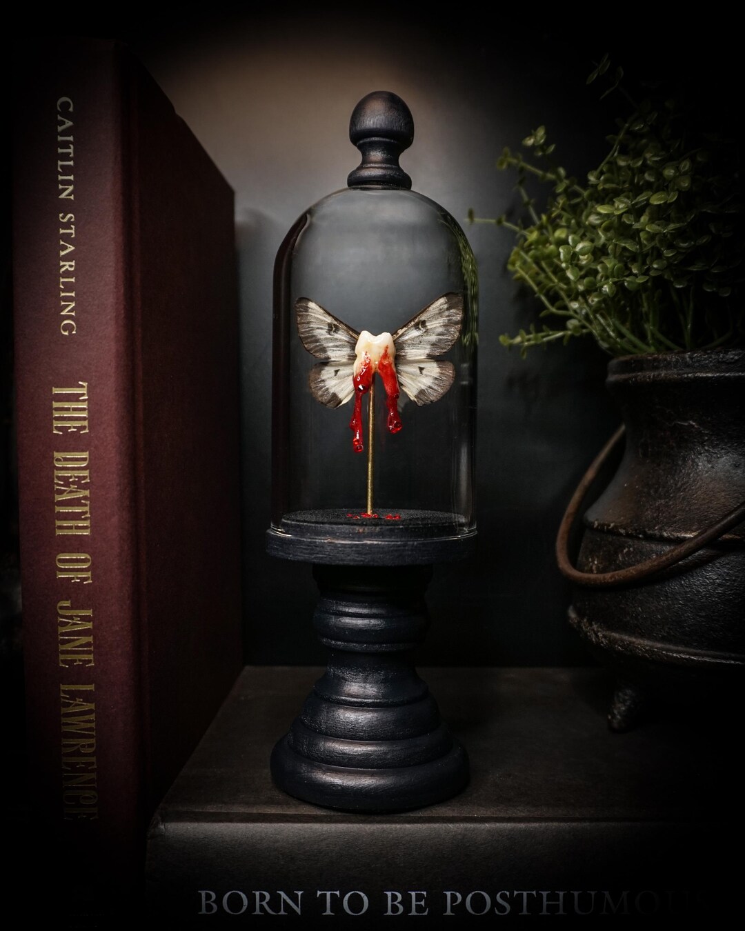 CUSTOM Vamp Human Tooth & Real Moth Wing Vamp Sprite Fairy – Gothic ...