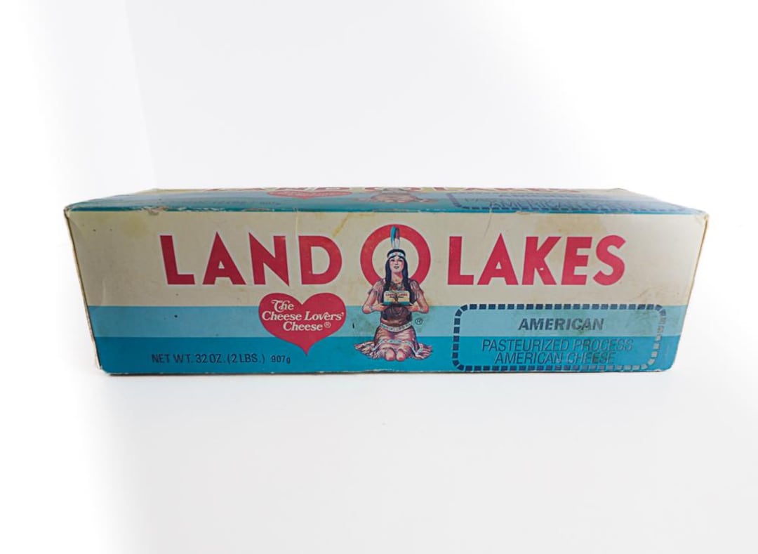 Vintage Land O Lakes Native American Cheese Box - Etsy