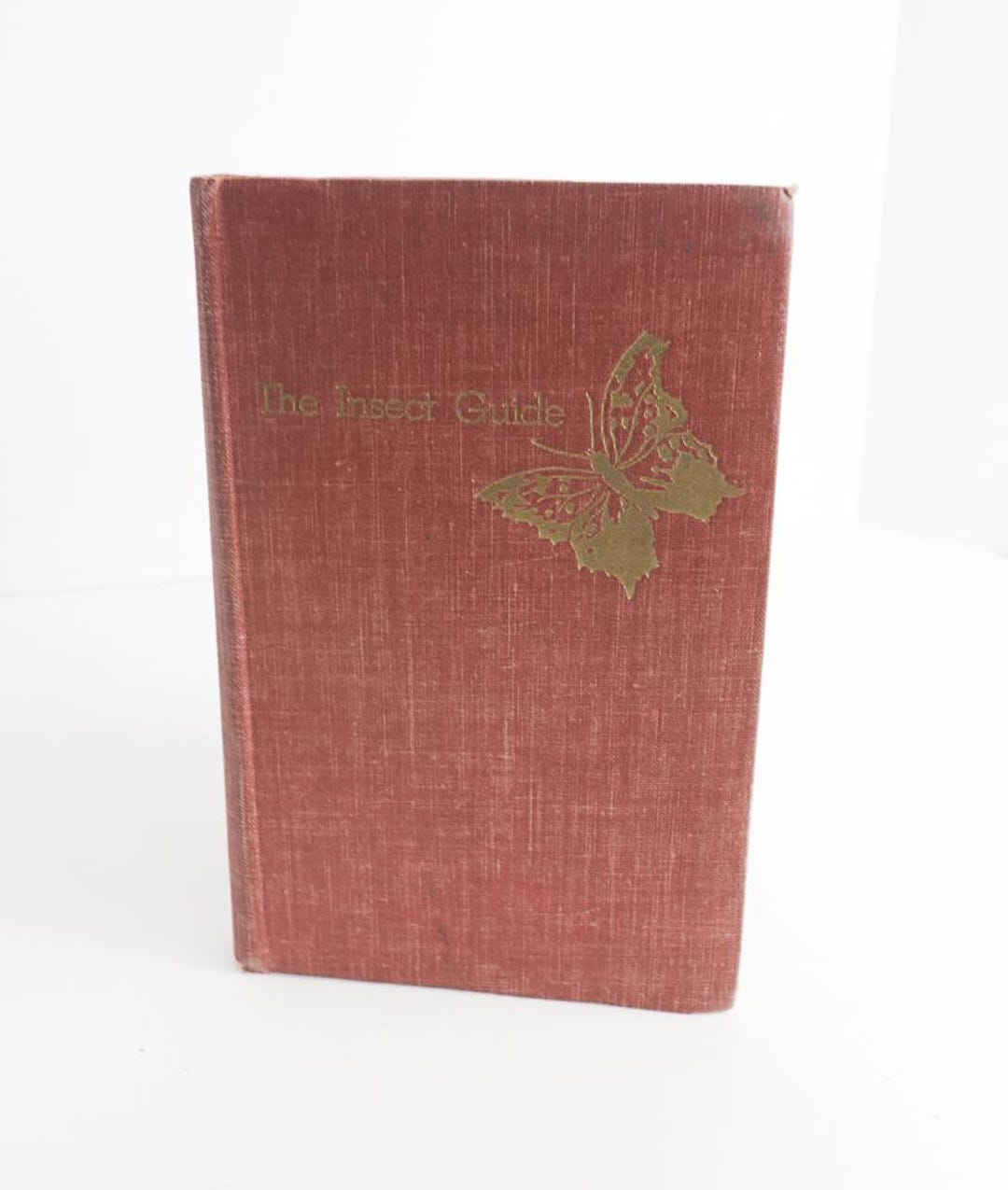 The Insect Guide Orders & Major Families of North American Ralph B ...