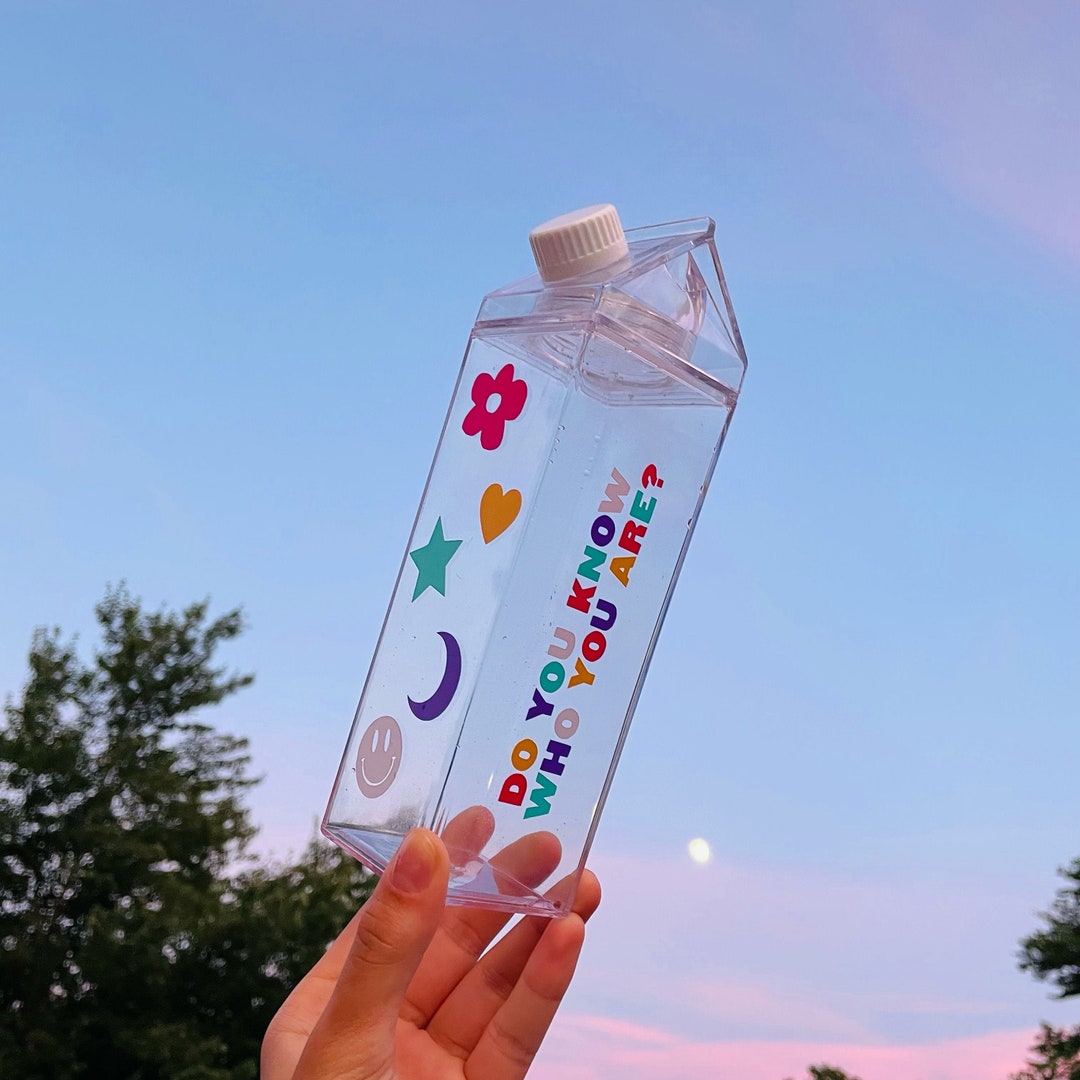 Harry Styles Inspired Y2K Milk Carton Water Bottle - Etsy UK