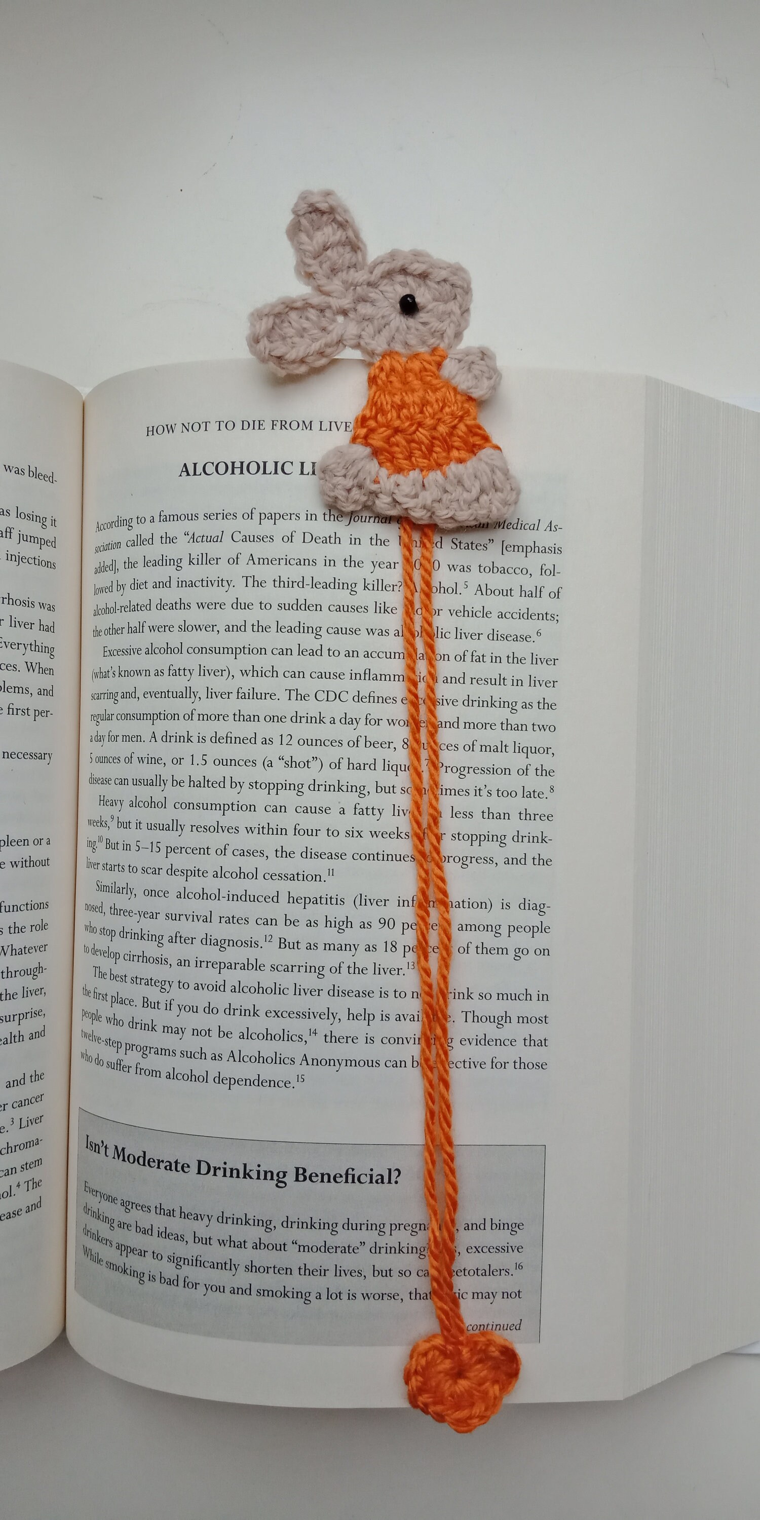 Crochet Bunny Bookmark or Multi-use Sew on Patch for DIY Project ...