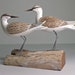 Wooden Sandpiper Pair 10.5" H X 14"l Hand Painted Wooden Birds - Etsy