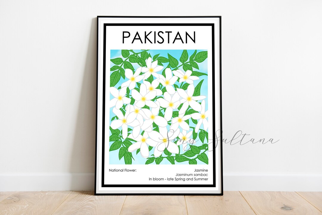 Pakistan National Flower Art Print / Wall Print / Wall Art / Home Decor ...
