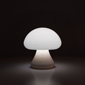 Aurora Mood Light | USB-C Mushroom Table Lamp - Etsy Canada