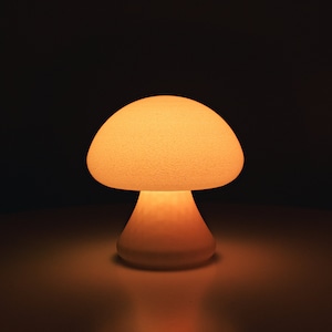 Aurora Mood Light | USB-C Mushroom Table Lamp - Etsy Canada