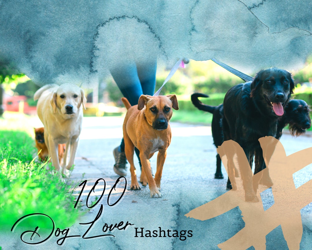 100 Dog Lover Hashtags to Connect With Your Audience - Etsy