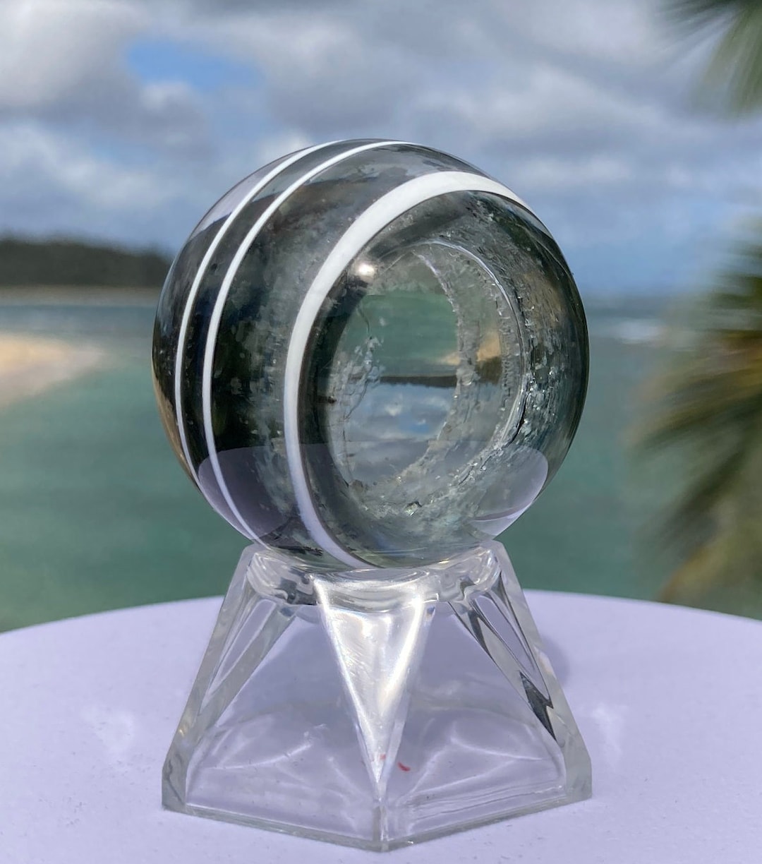 Cremated Ashes in Glass Sun Catcher (charcoal & White) Black/white Dog ...