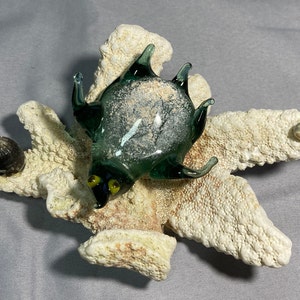 Memorial Ashes in Glass Sea Turtle Cremation Ashes. Custom Glass Made ...