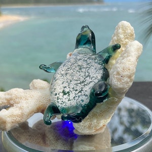 Memorial Ashes in Glass Sea Turtle Cremation Ashes. Custom Glass Made ...