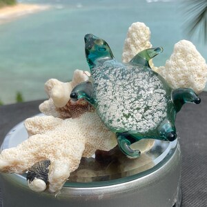 Memorial Ashes in Glass Sea Turtle Cremation Ashes. Custom Glass Made ...