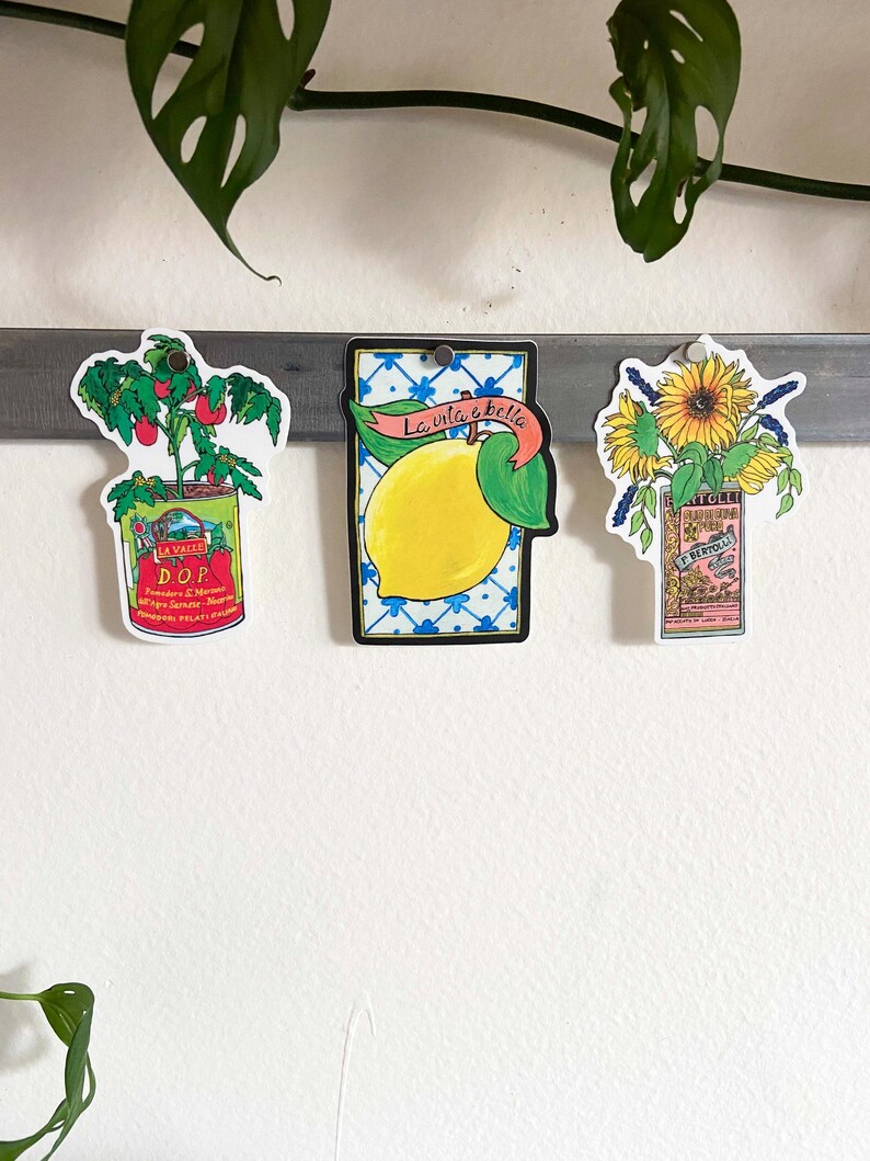 Tomato Can Sticker, Tomato Plant Art Print, Food Sticker, Italian Gift ...