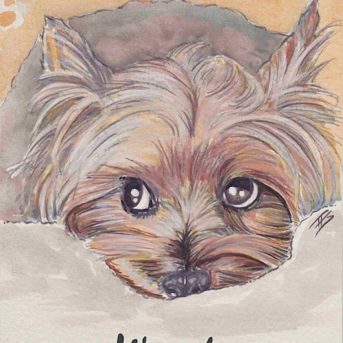 Yorkshire Terrier YORKIE Dog Portrait Art Canvas PRINT of | Etsy