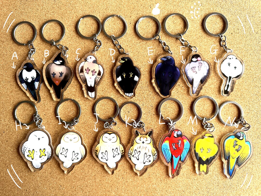 Acrylic Birds Keychain Set 1/bird Lover's Gift/ Bag Charm/bag Fob ...
