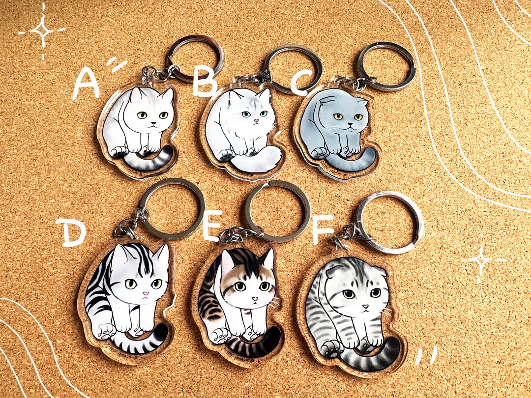 Acrylic Cat Keychain Set 4 /cat Lover's Gift/ Bag Charm/bag Fob ...