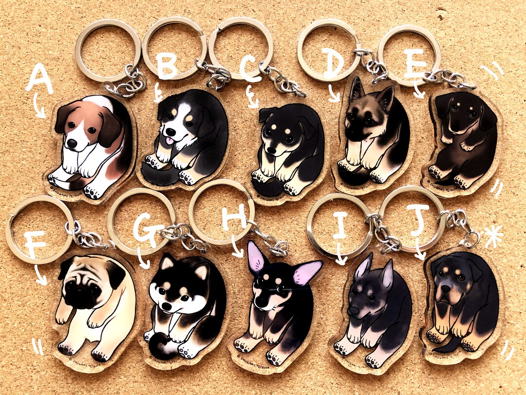 Acrylic Dog Keychain Set 2/dog Lover's Gift/ Bag Charm/bag Fob/ Lanyard ...