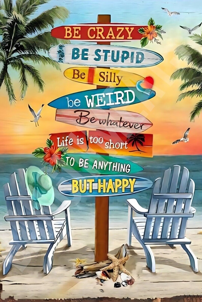 BE Crazy Be Stupid Be Silly Funny Sign 8" X 12" Aluminum Metal Sign - Etsy