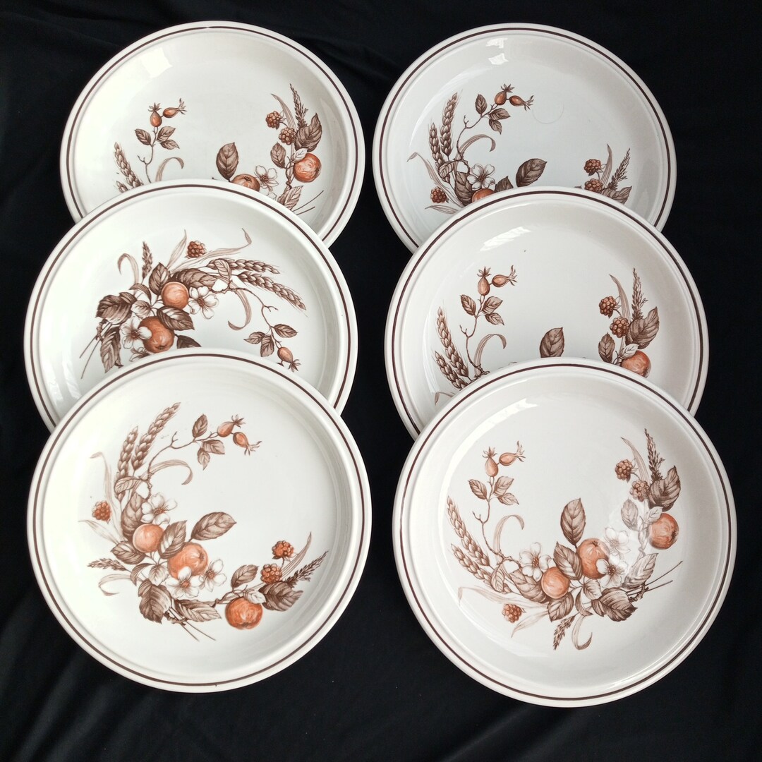 Beautiful Vintage Johnson Brothers Dinner Plate Diameter 25 Cm. (price ...