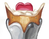 Original Larynx Concept Drawing From Blue Tree Publishing - Etsy
