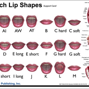Speech Lip Shapes Anatomical Chart - Etsy