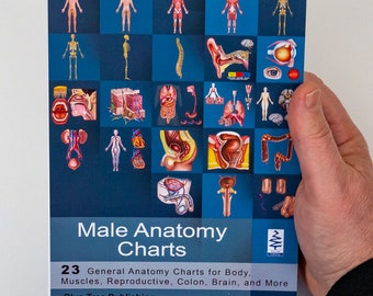 Muscles and Bones Anatomy Flip Charts | Etsy