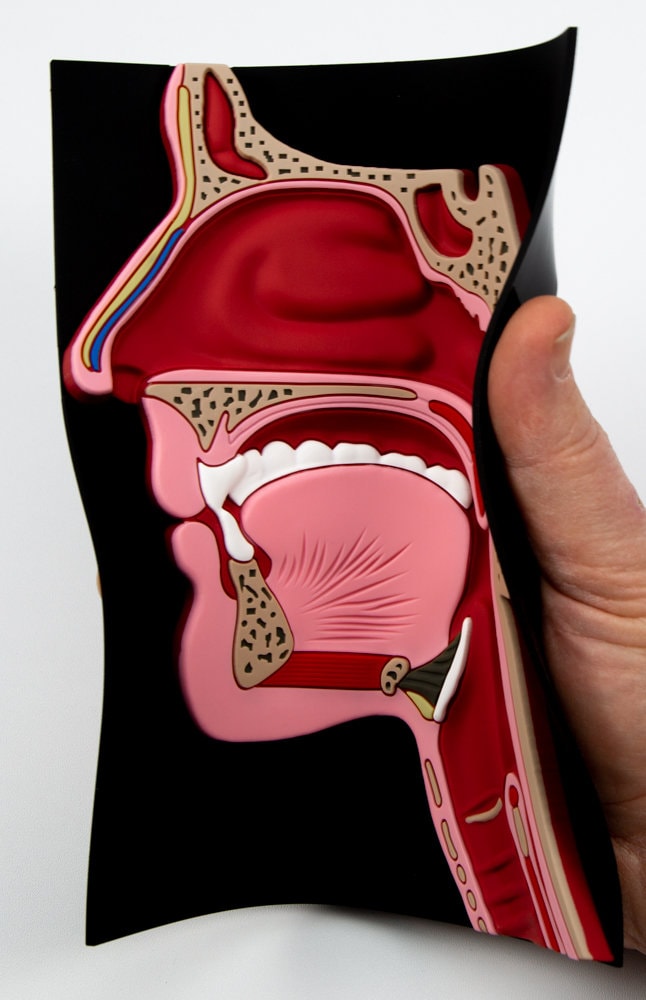 Head Mat Model | Etsy